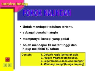 Modul 1-tumbuhan-landskap | PPT