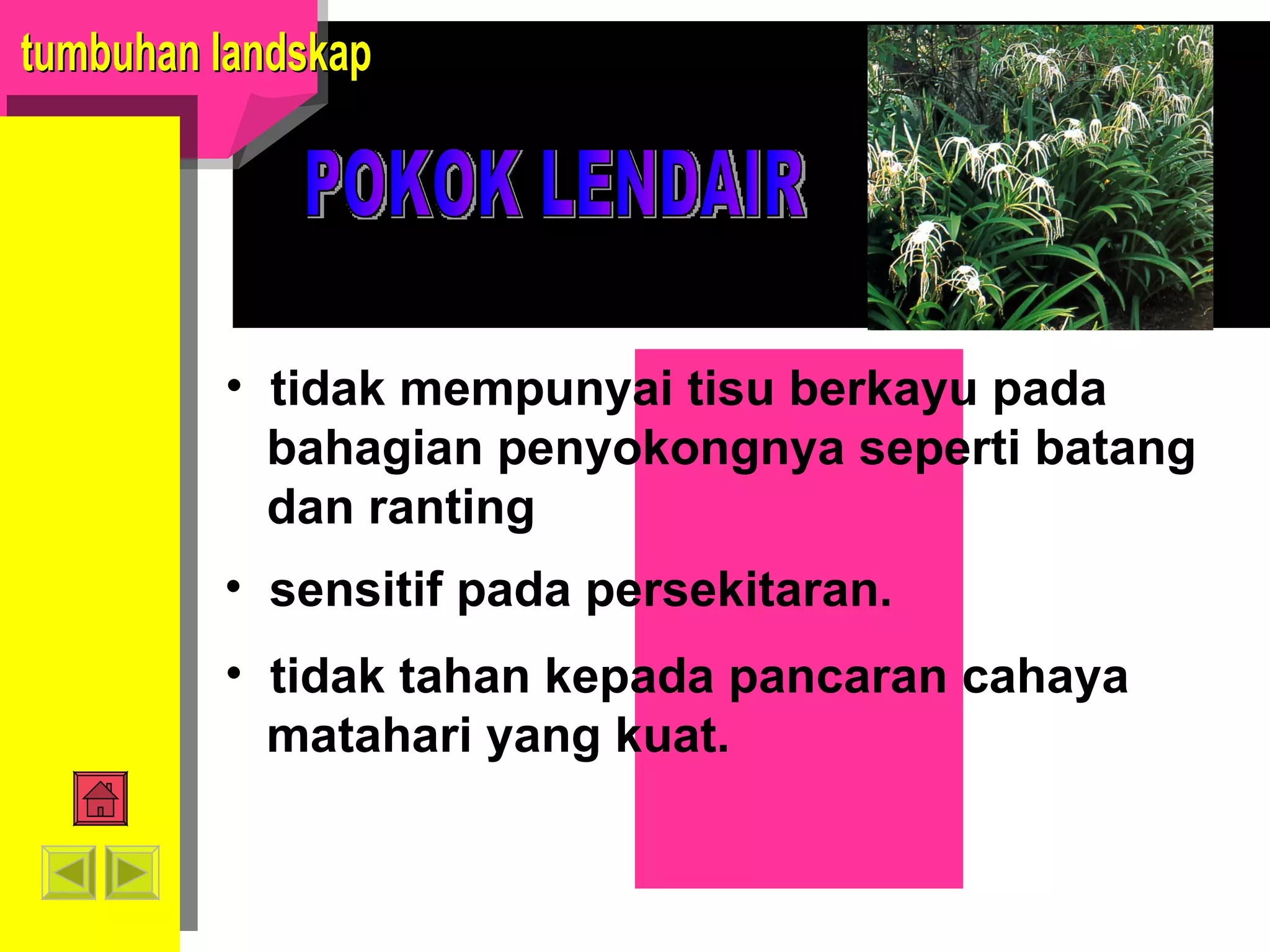 Modul 1 Tumbuhan Landskap | PPT