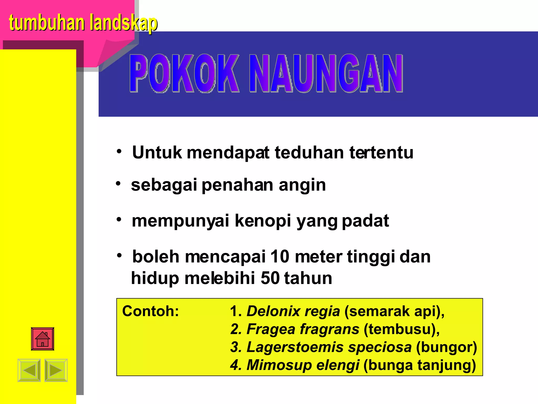 Modul 1 Tumbuhan Landskap | PPT