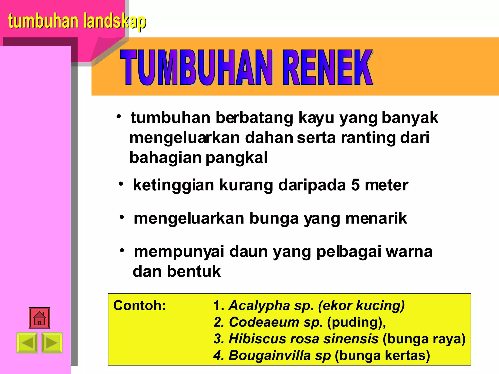 Modul 1 Tumbuhan Landskap | PPT
