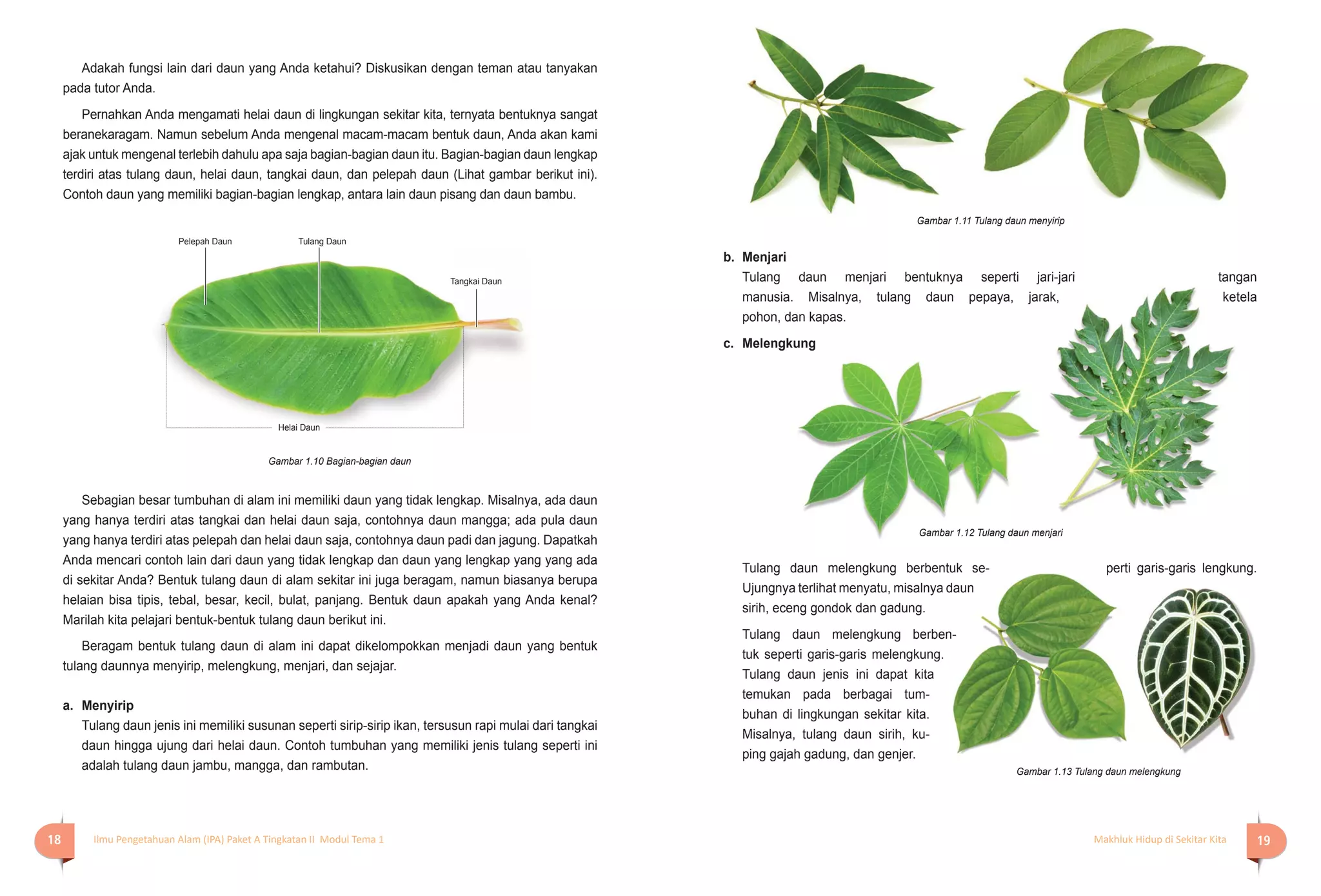 Modul-1_IPA_Paket_A_Makhluk_Hidup_di_Sekitar_Kita_indd1.PDF