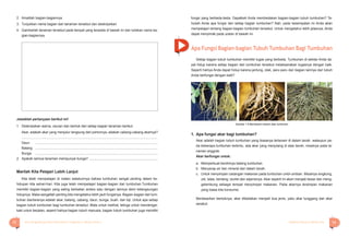 Modul-1_IPA_Paket_A_Makhluk_Hidup_di_Sekitar_Kita_indd1.PDF