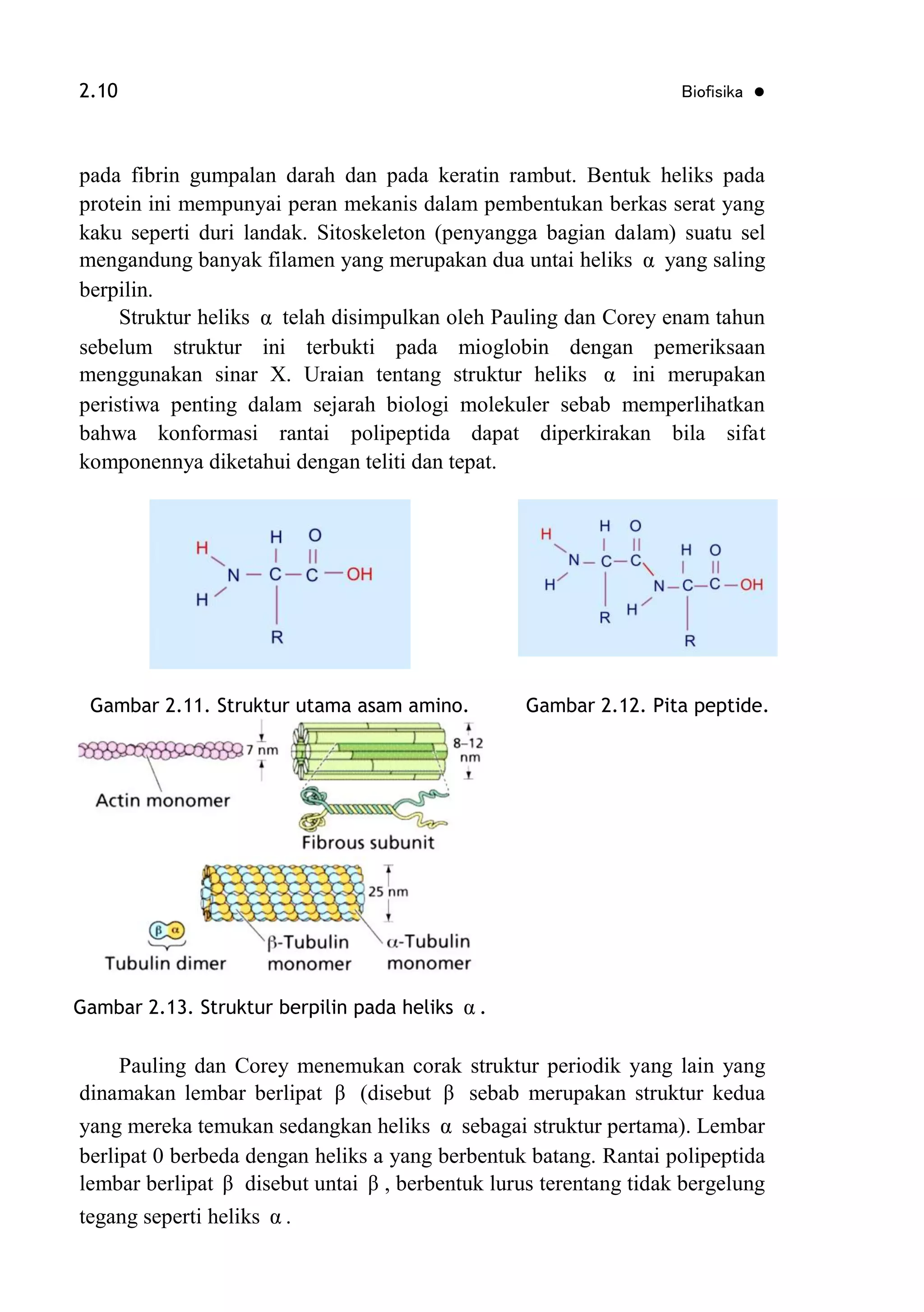 Modul 2-struktur-dan-fungsi-protein | PDF