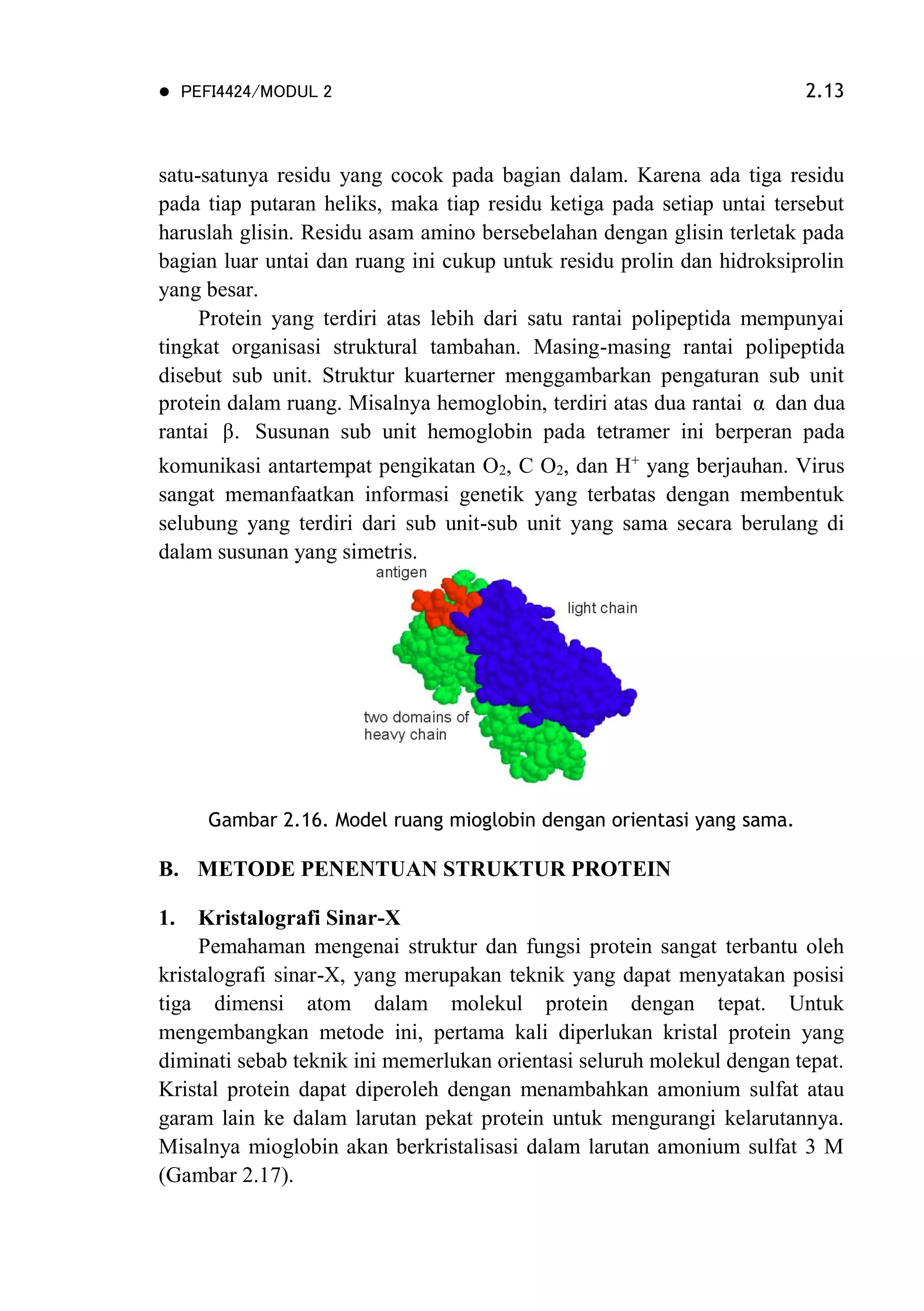 Modul 2-struktur-dan-fungsi-protein | PDF