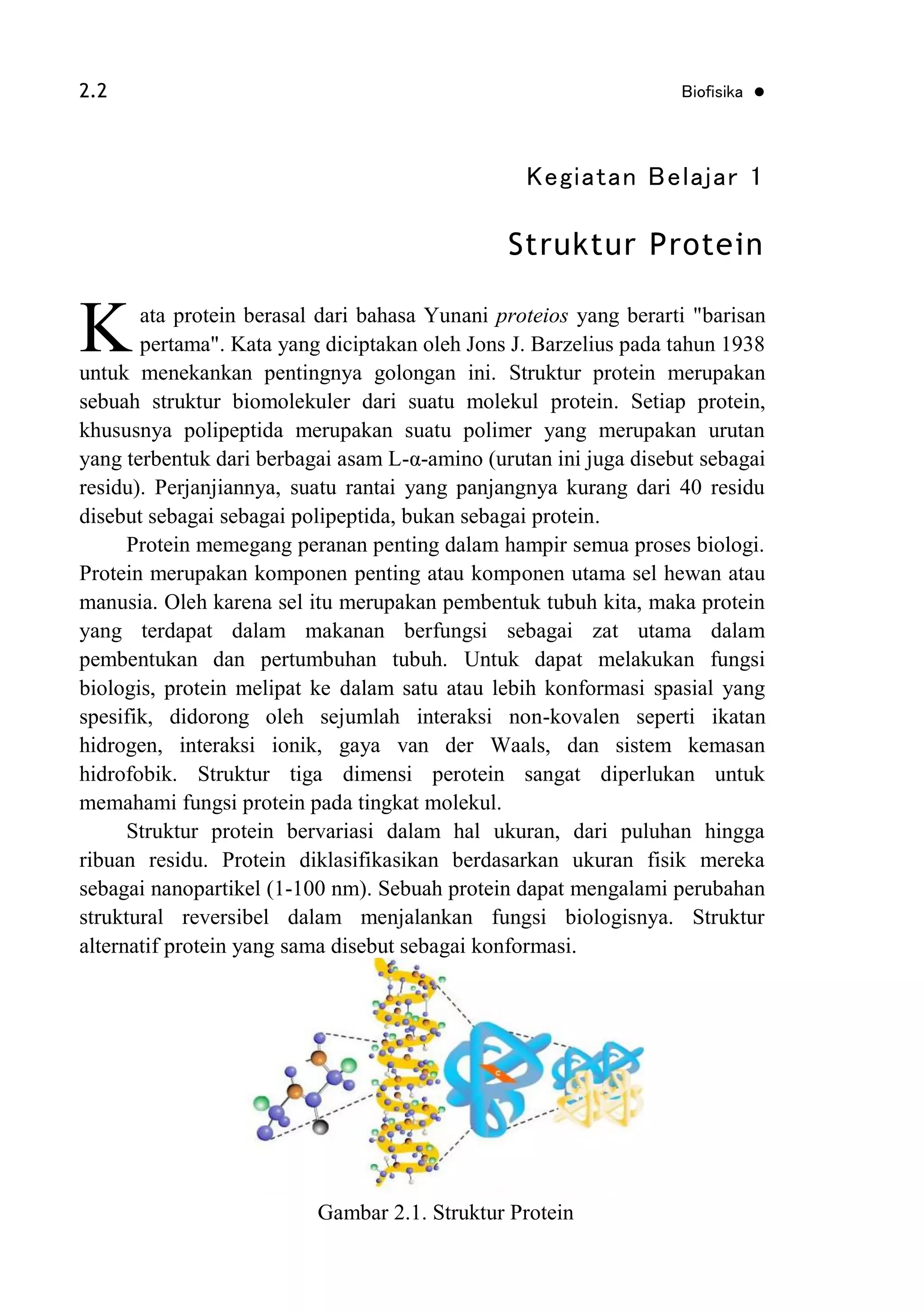 Modul 2-struktur-dan-fungsi-protein | PDF