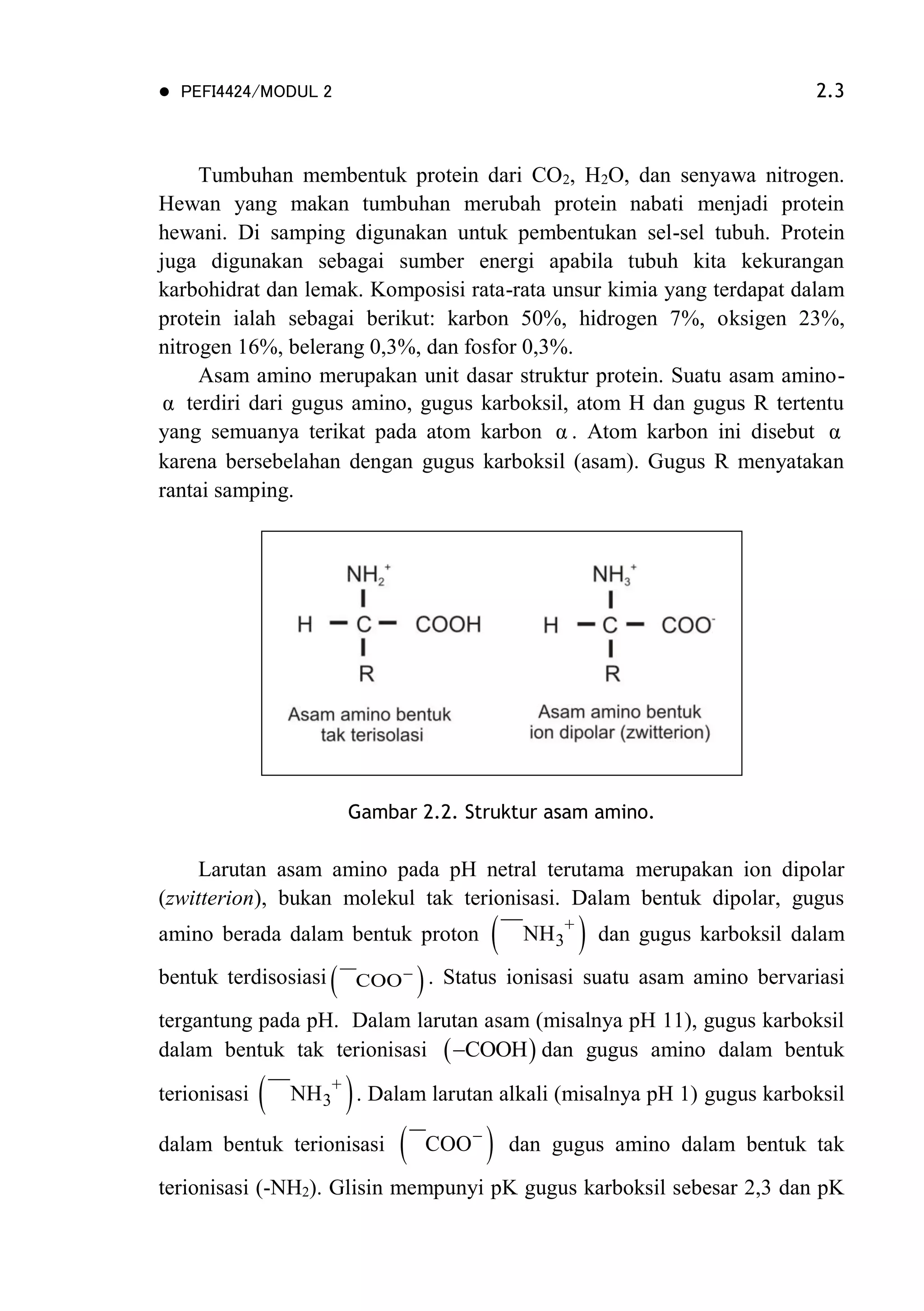Modul 2-struktur-dan-fungsi-protein | PDF