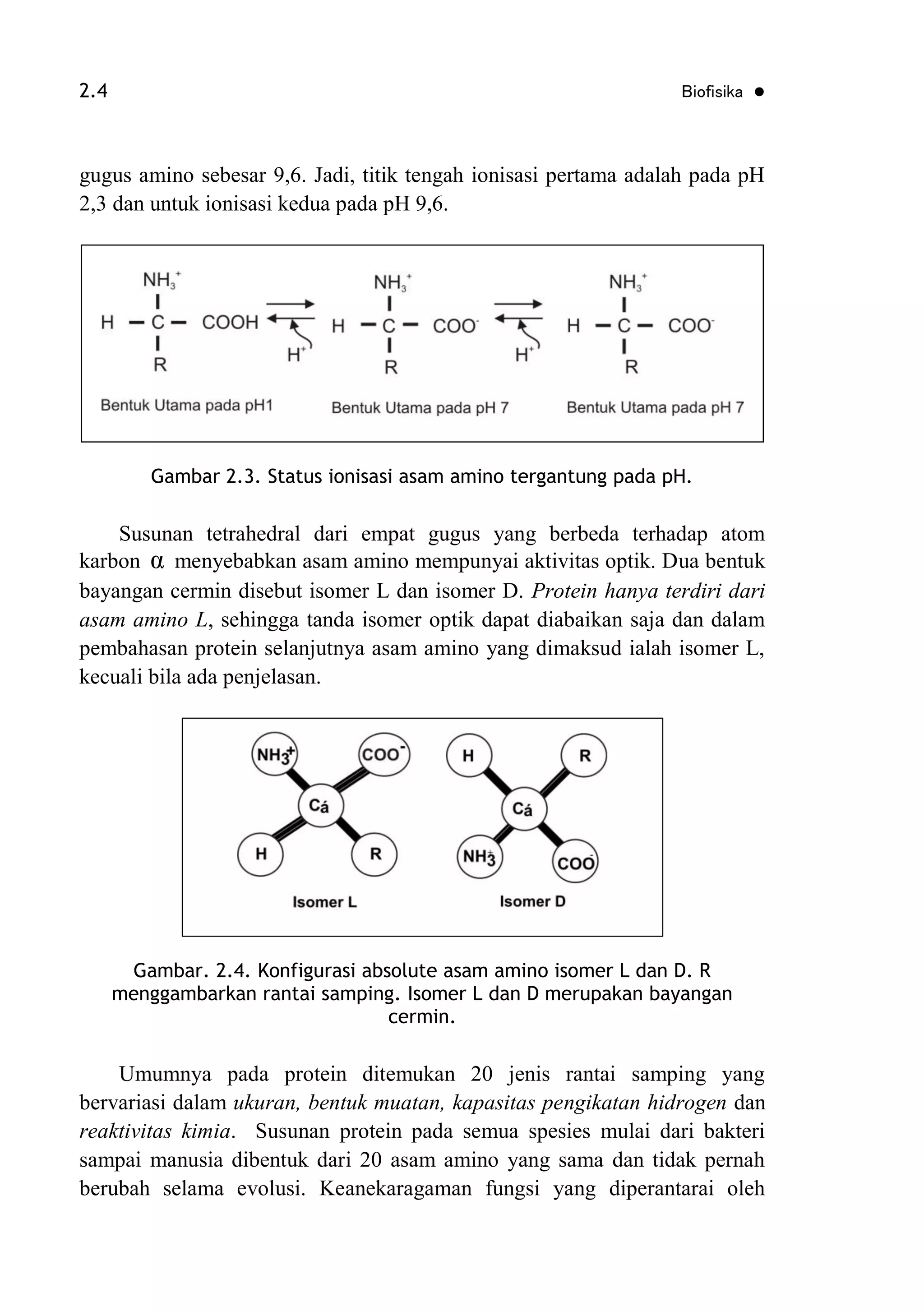Modul 2-struktur-dan-fungsi-protein | PDF