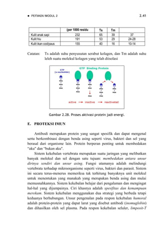 Modul 2-struktur-dan-fungsi-protein | PDF