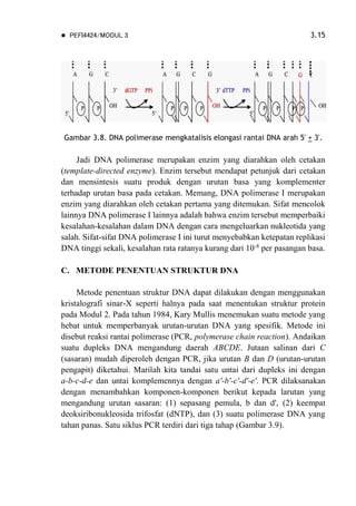 Modul 3-strukturdan-fungsi-dna-dan-rna1 | PDF