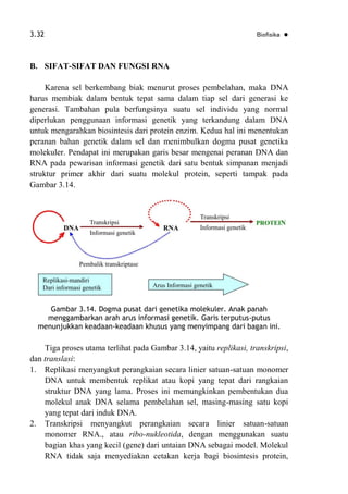 Modul 3-strukturdan-fungsi-dna-dan-rna1 | PDF