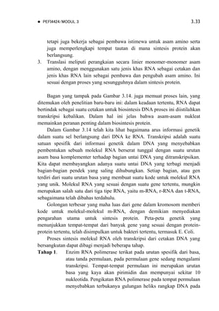 Modul 3-strukturdan-fungsi-dna-dan-rna1 | PDF