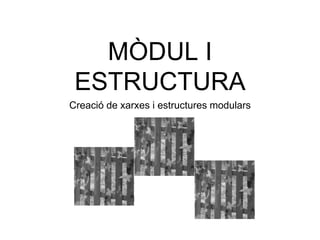 Mòdul i estructura | PPTX