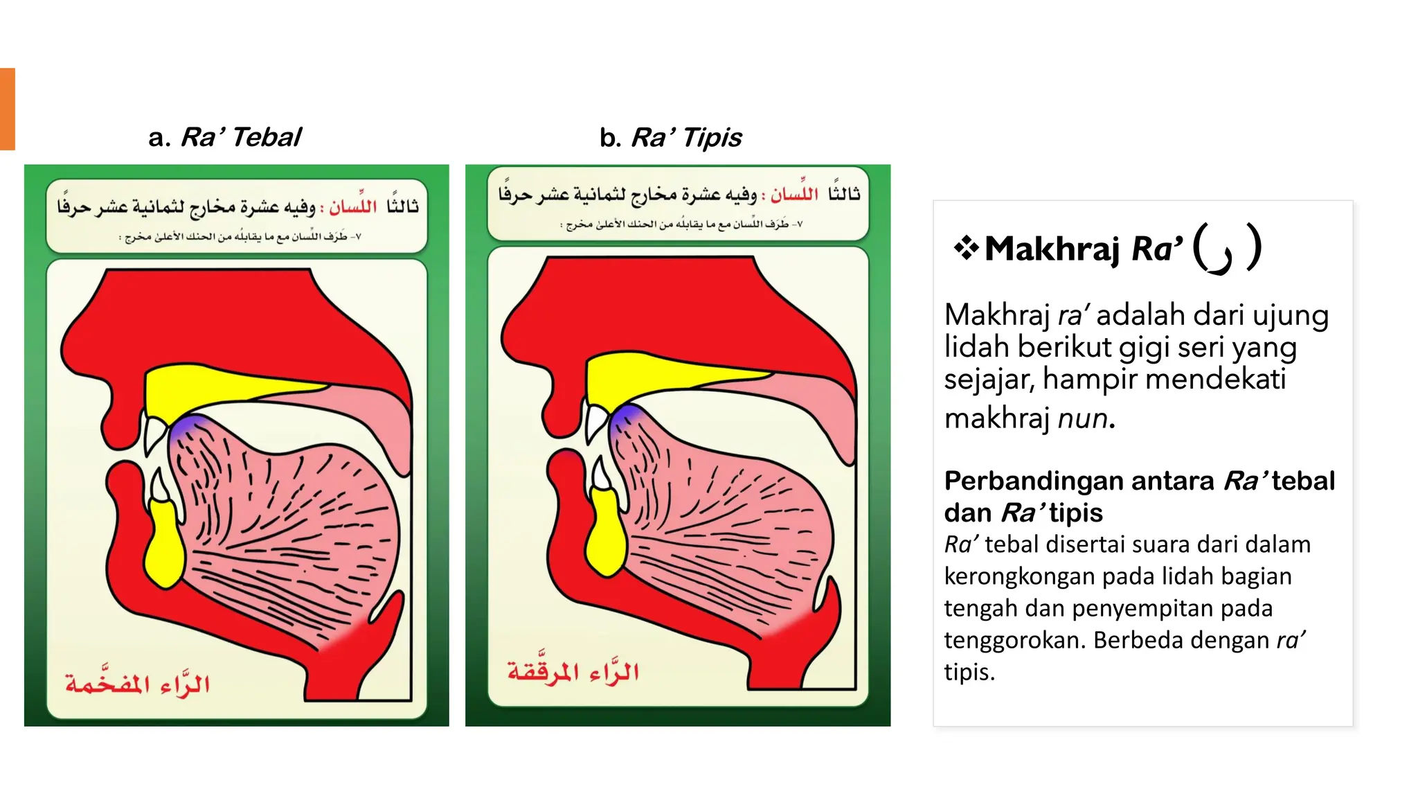 MODUL-MAKHRAJ-MAKHRAJ-HURUF-ARAB-1.pdf