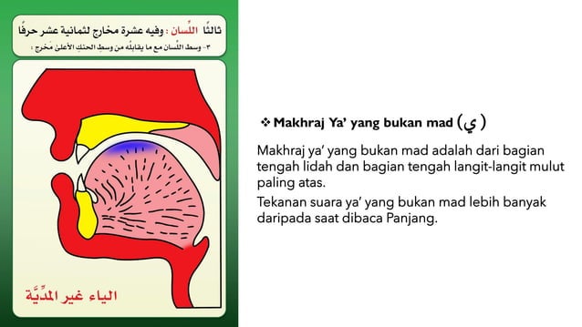 MODUL-MAKHRAJ-MAKHRAJ-HURUF-ARAB-1.pdf