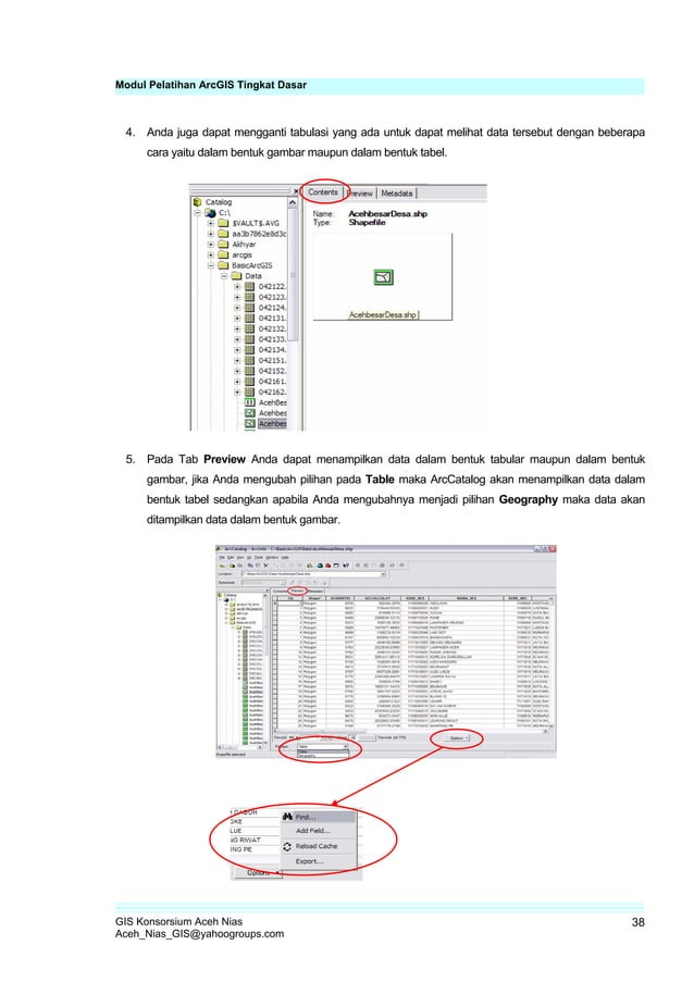 Modul pelatihan-arcgis-tingkat-dasar | PDF