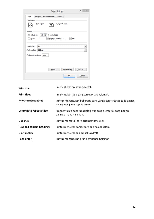 Modul-Pelatihan-Microsoft-Excel-2013-1.pdf