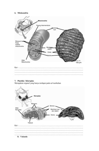 Modul Biologi Untuk SMA Kelas XI-SEL | DOC