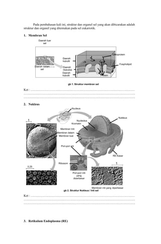 Modul sel | PDF