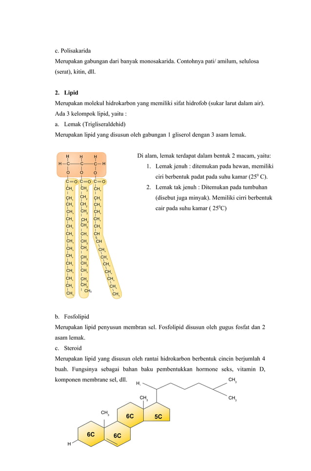 Modul Biologi Untuk SMA Kelas XI-SEL | DOC