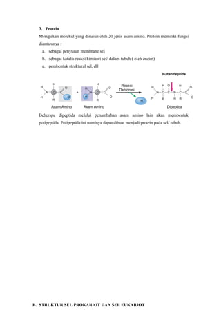 Modul Biologi Untuk SMA Kelas XI-SEL | DOC