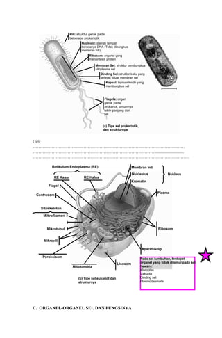 Modul Biologi Untuk SMA Kelas XI-SEL | DOC