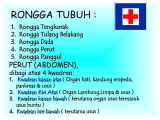 Modul 02 - Anatomi pertolongan pertamaa | PPT