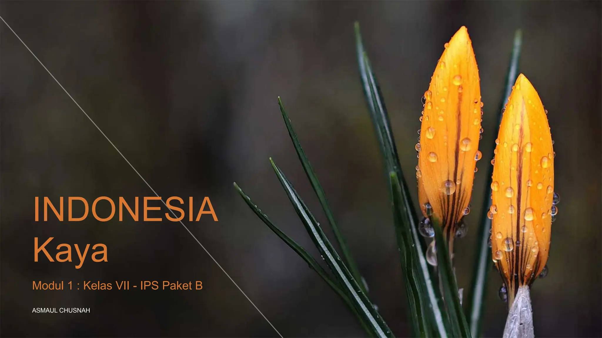 MODUL 1 - IPS INDONESIA KAYA - PAKET B - KELAS VII MODUL 1 - IPS ...