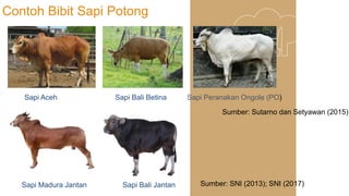 AT Modul 1 kb 1 | PPTX