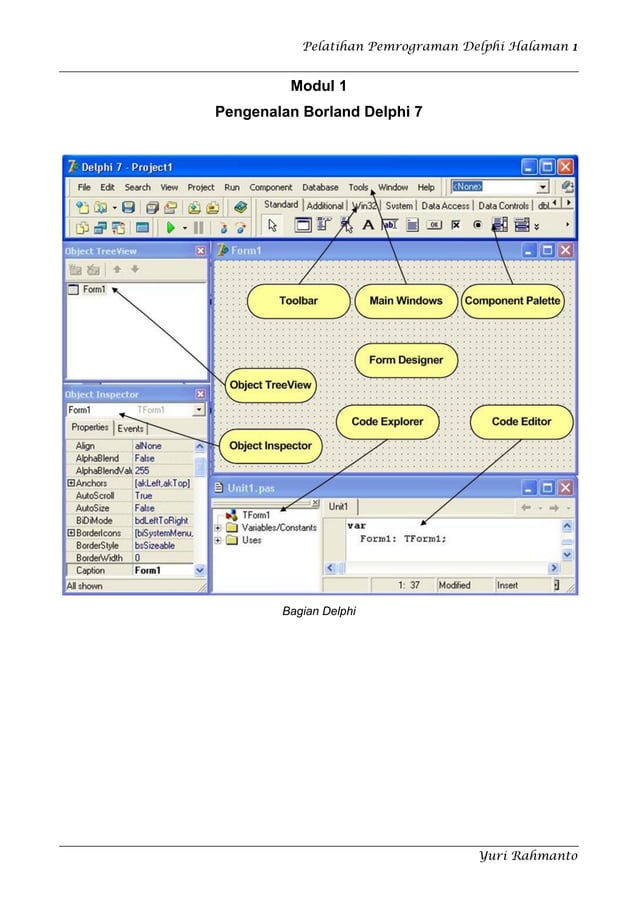 Modul1 pengenalan borlanddelphi7 | PDF