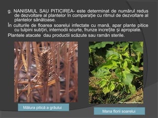 Modul 1 protecția plantelor- generalitati | PPT
