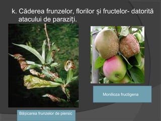 Modul 1 protecția plantelor- generalitati | PPT