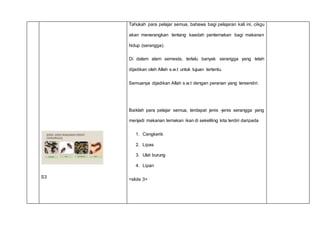 Skrip TV Pendidikan Modul 1042 Ulat burung | PPT