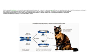 Modul 10 Lesson 5 Complex pattern of inheritance.pptx