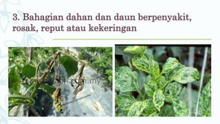 MODUL 14 PEMANGKASAN.pptx