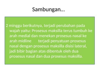 Modul 1, BO-1.1, Tumbuh Kembang Maksila dan Mandibula.ppt