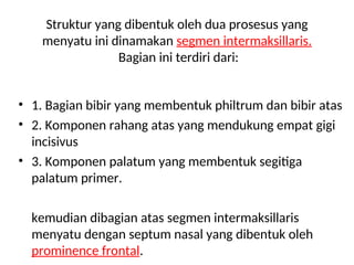 Modul 1, BO-1.1, Tumbuh Kembang Maksila dan Mandibula.ppt