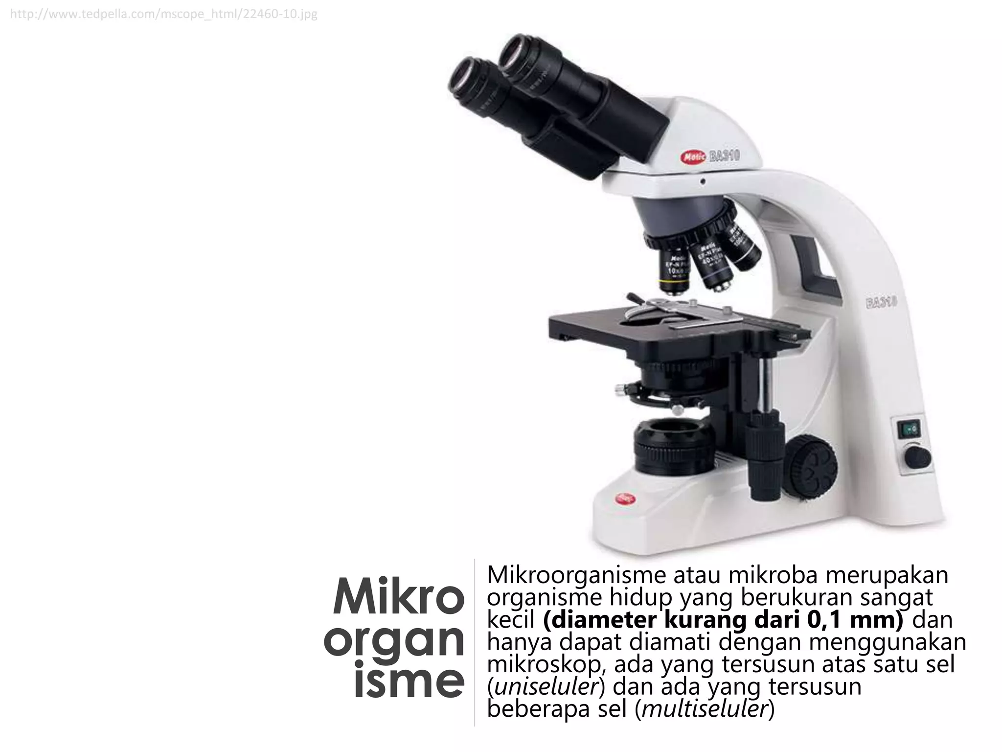 Pengantar Mikrobiologi | PPTX