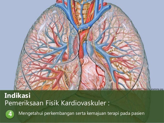 Modul 1 Kb1 Pemeriksaan Fisik Sistem Kardiovaskuler