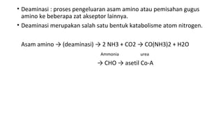Proses Pencernaan dan Metabolisme Protein | PPT