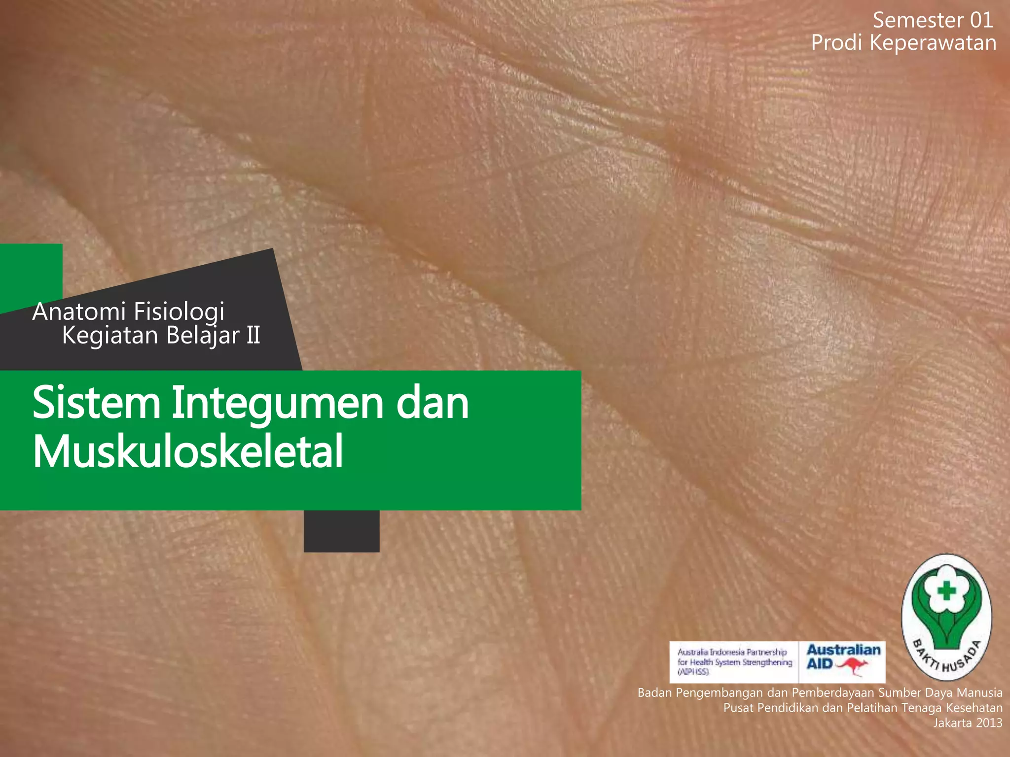 Sistem Integumen dan Muskuloskeletal | PPTX