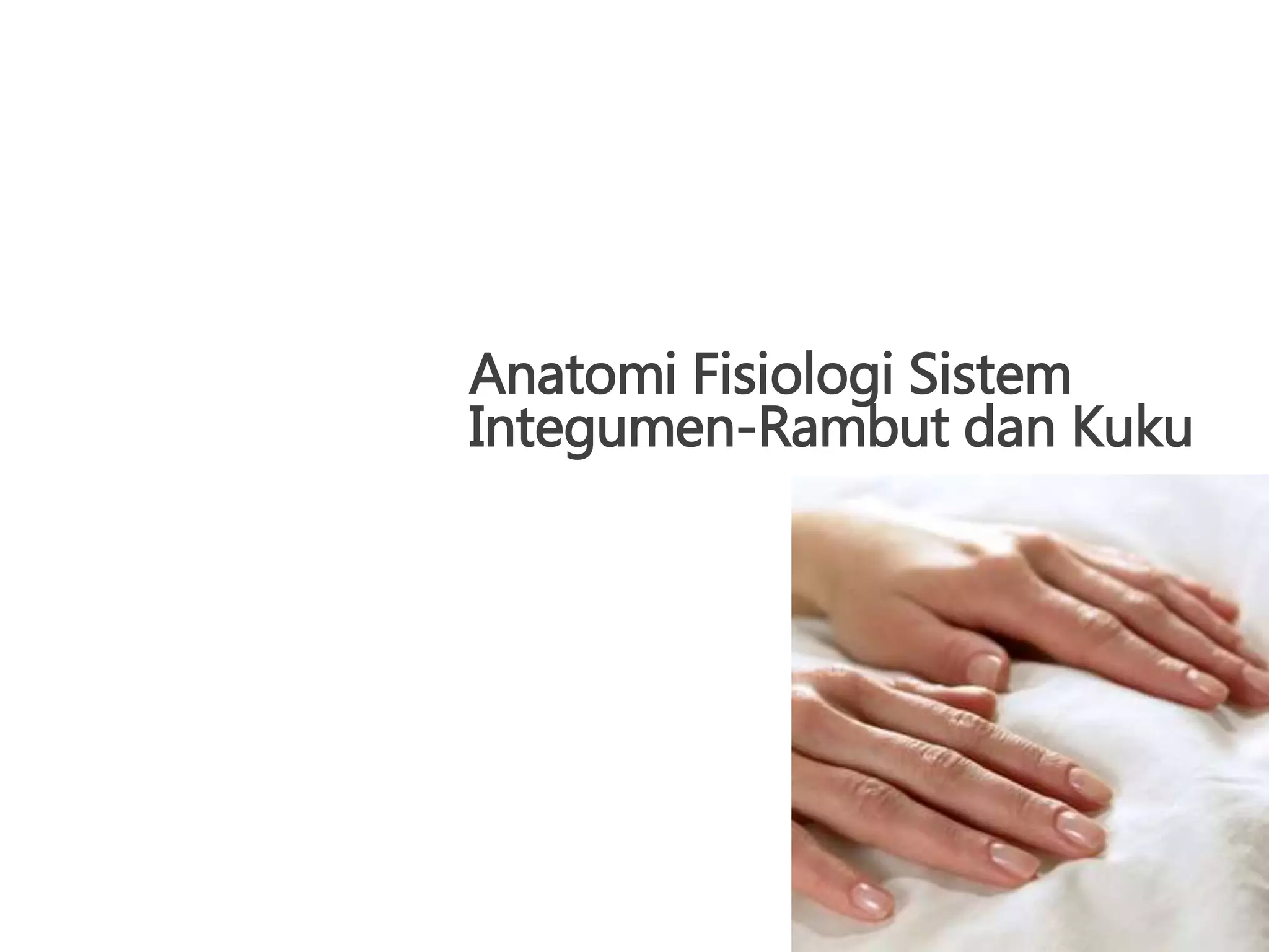 Sistem Integumen dan Muskuloskeletal | PPTX