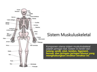 Sistem Integumen dan Muskuloskeletal | PPTX