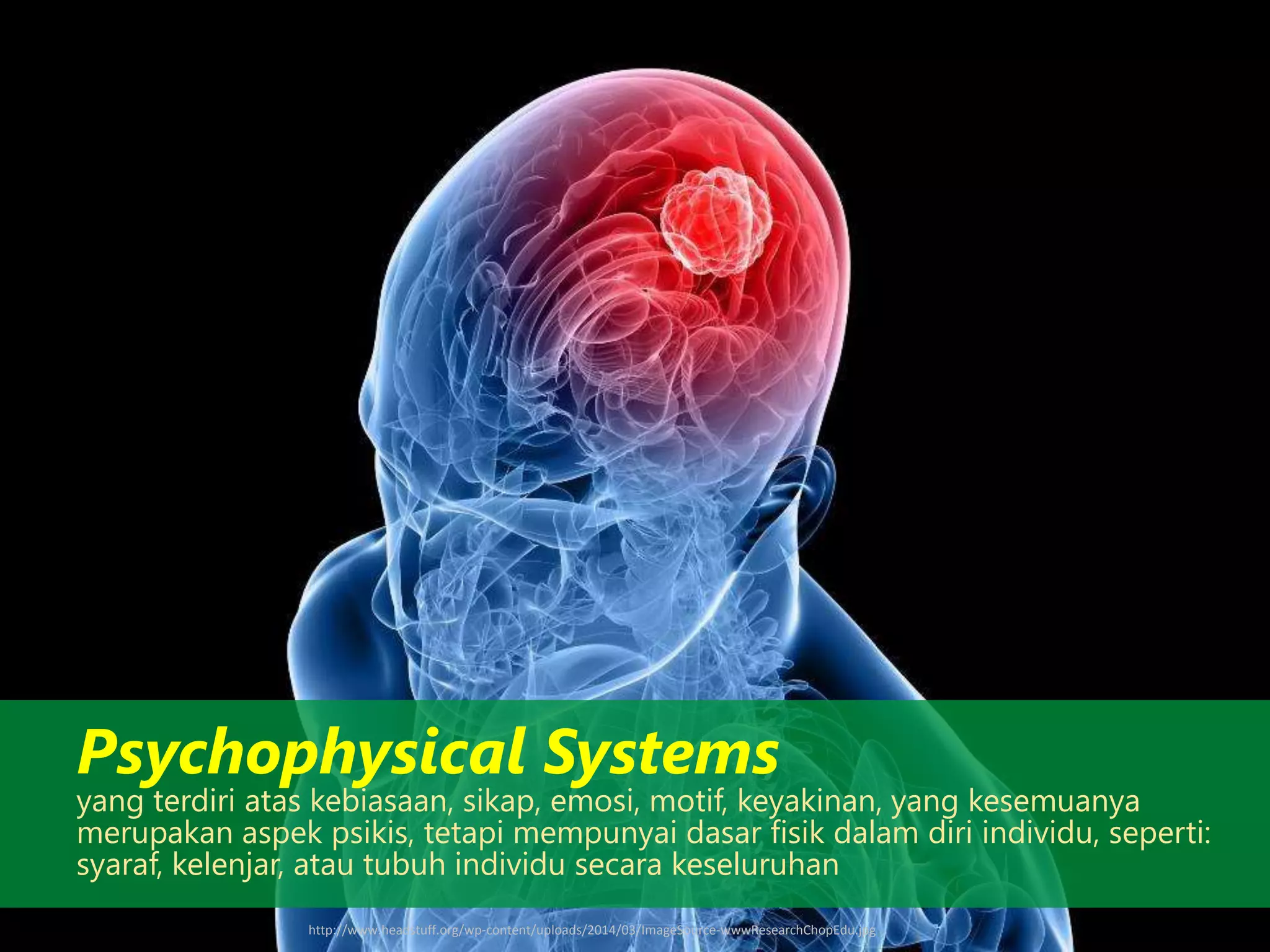 Modul 1 kb 2 konsep perkembangan kepribadian | PPTX