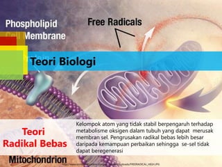 kb 2 proses menua | PPTX