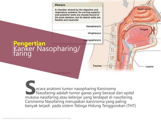 Asuhan Keperawatan Pada Pasien Dengan Gangguan Sistem Pernafasan Akibat ...