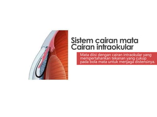 Sistem Penginderaan | PPT