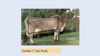 Modul 1 bahan ajar matakuliah ilmu tilik ternak kelas E 2 | PPTX