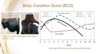 AT Modul 2 kb 1 | PPTX