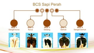 AT Modul 2 kb 1 | PPTX