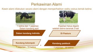 AT Modul 2 kb 1 | PPTX